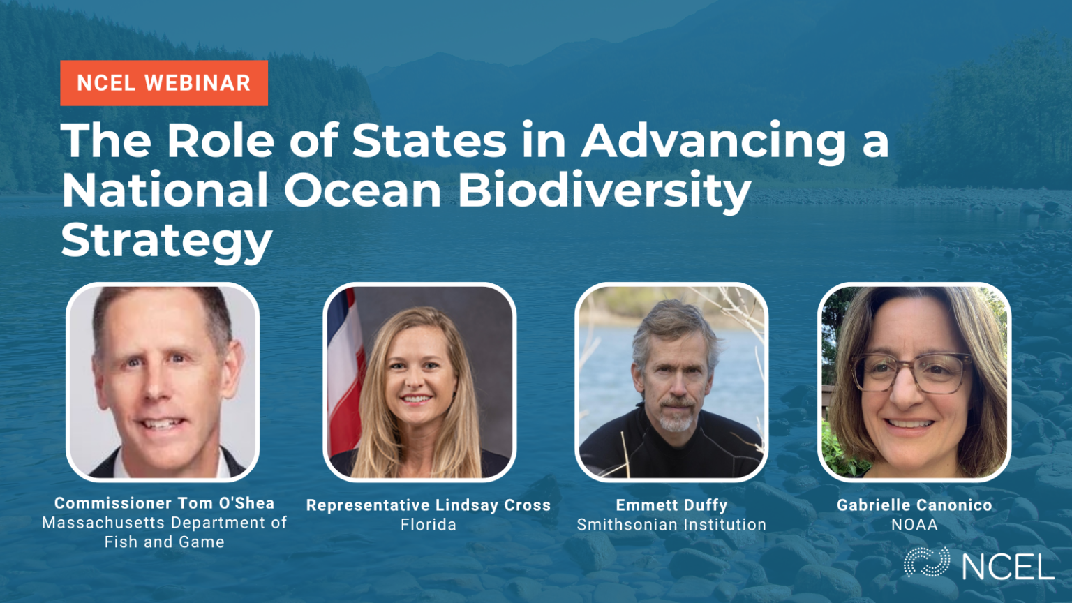 The Role of States in Advancing a National Ocean Biodiversity Strategy ...