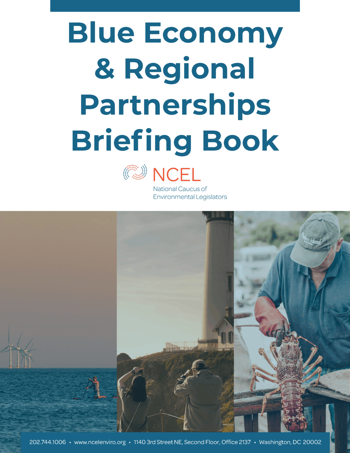 Blue Economy and Regional Partnerships Briefing Book | National Caucus ...